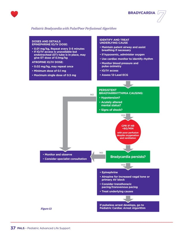 Reanimacion Cardiopulmonar en Pediatria - PALS_Handbook.pdf