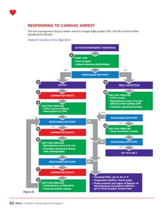 Reanimacion Cardiopulmonar en Pediatria - PALS_Handbook.pdf