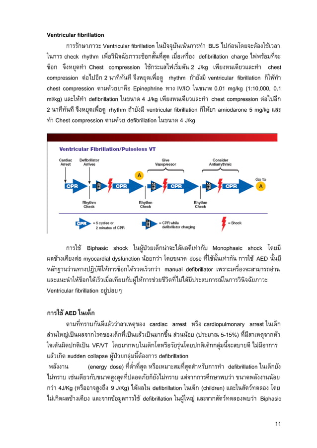 PALS manual 2009 | PDF