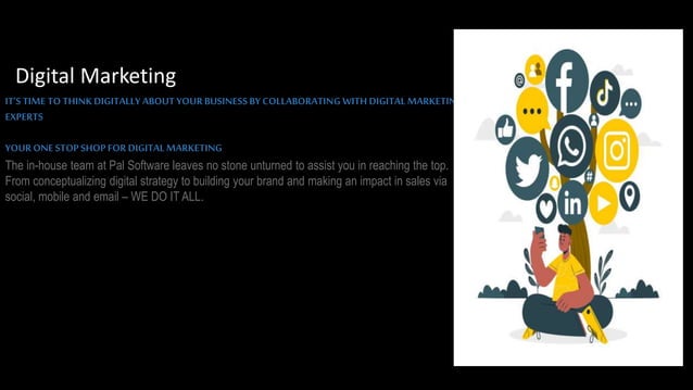 Pal software ppt | PPTX