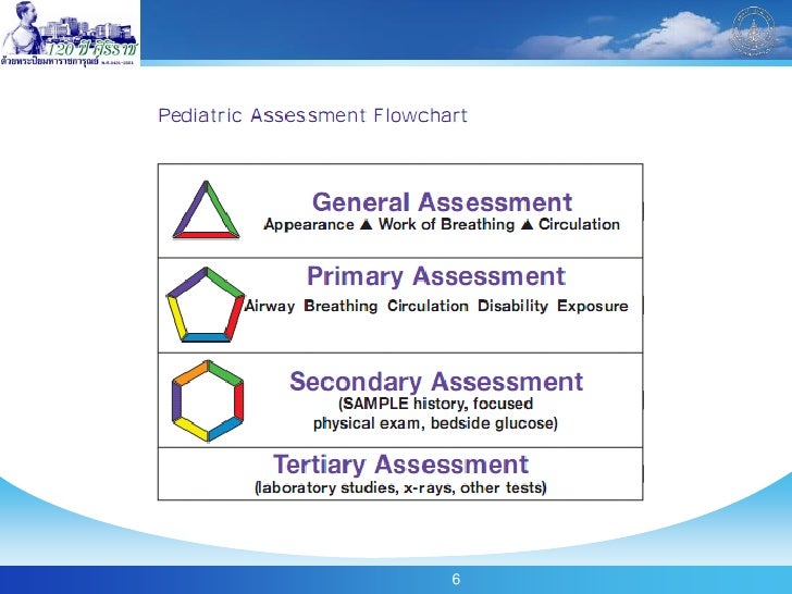 PALS update 2005 to 2010