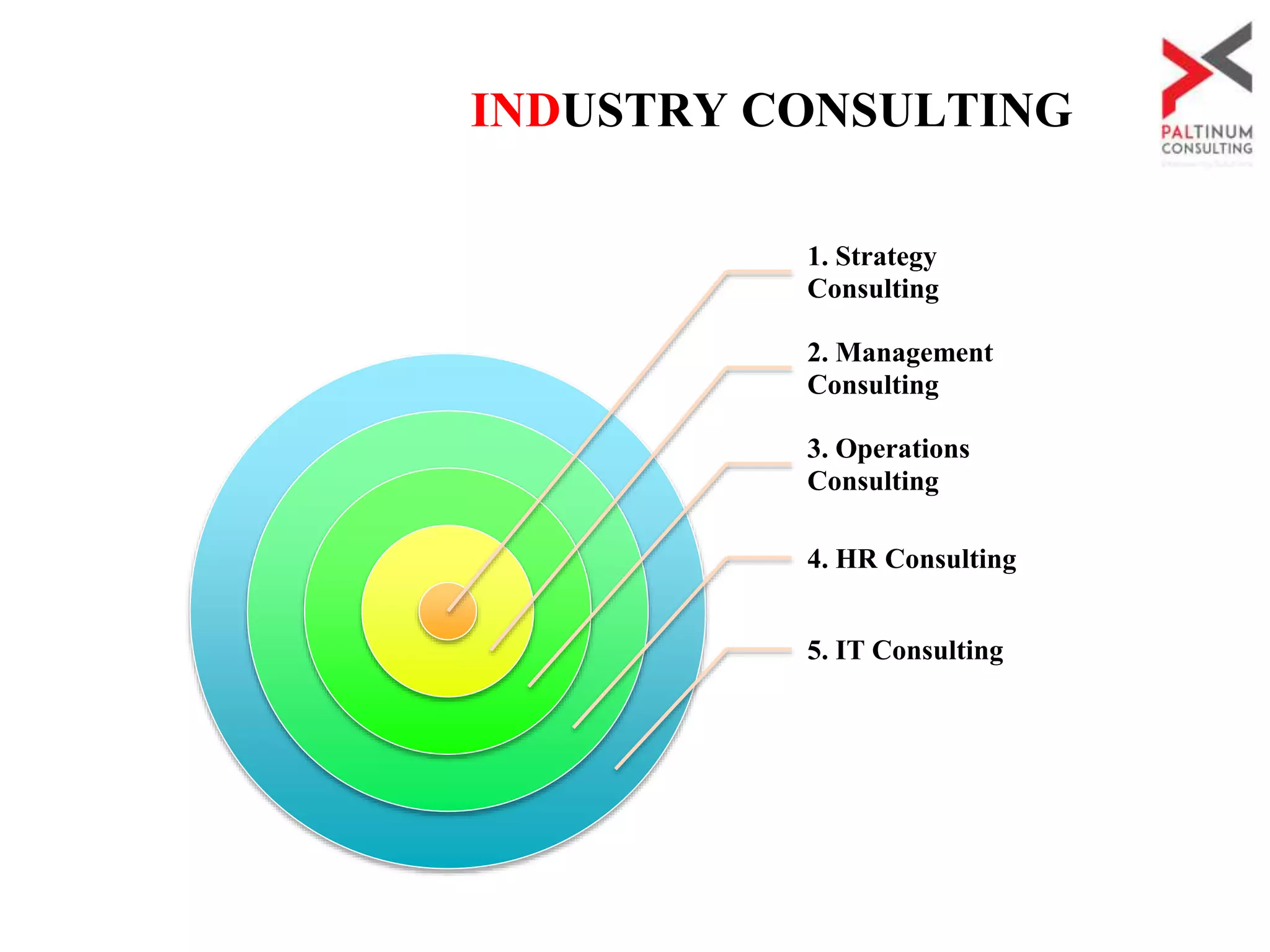 Paltinum Consulting Pvt Ltd.pptx