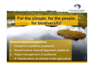Paludiculture: Business opportunities for rewetted peatlands | PDF ...