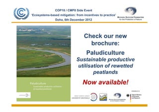 Paludiculture: Business opportunities for rewetted peatlands | PDF ...