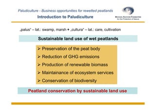 Paludiculture: Business opportunities for rewetted peatlands | PDF ...