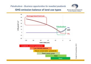Paludiculture: Business opportunities for rewetted peatlands | PDF ...