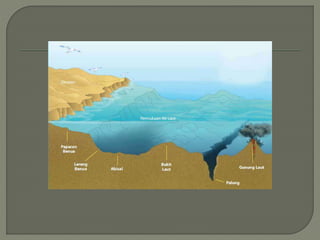 Palung ( trench) | PPTX