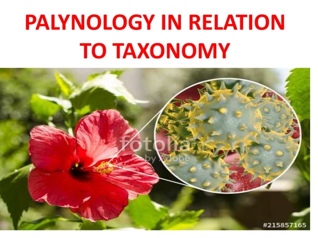 PALYNOLOGY IN RELATION TO TAXONOMY | PPTX | Gardening | Home & Garden