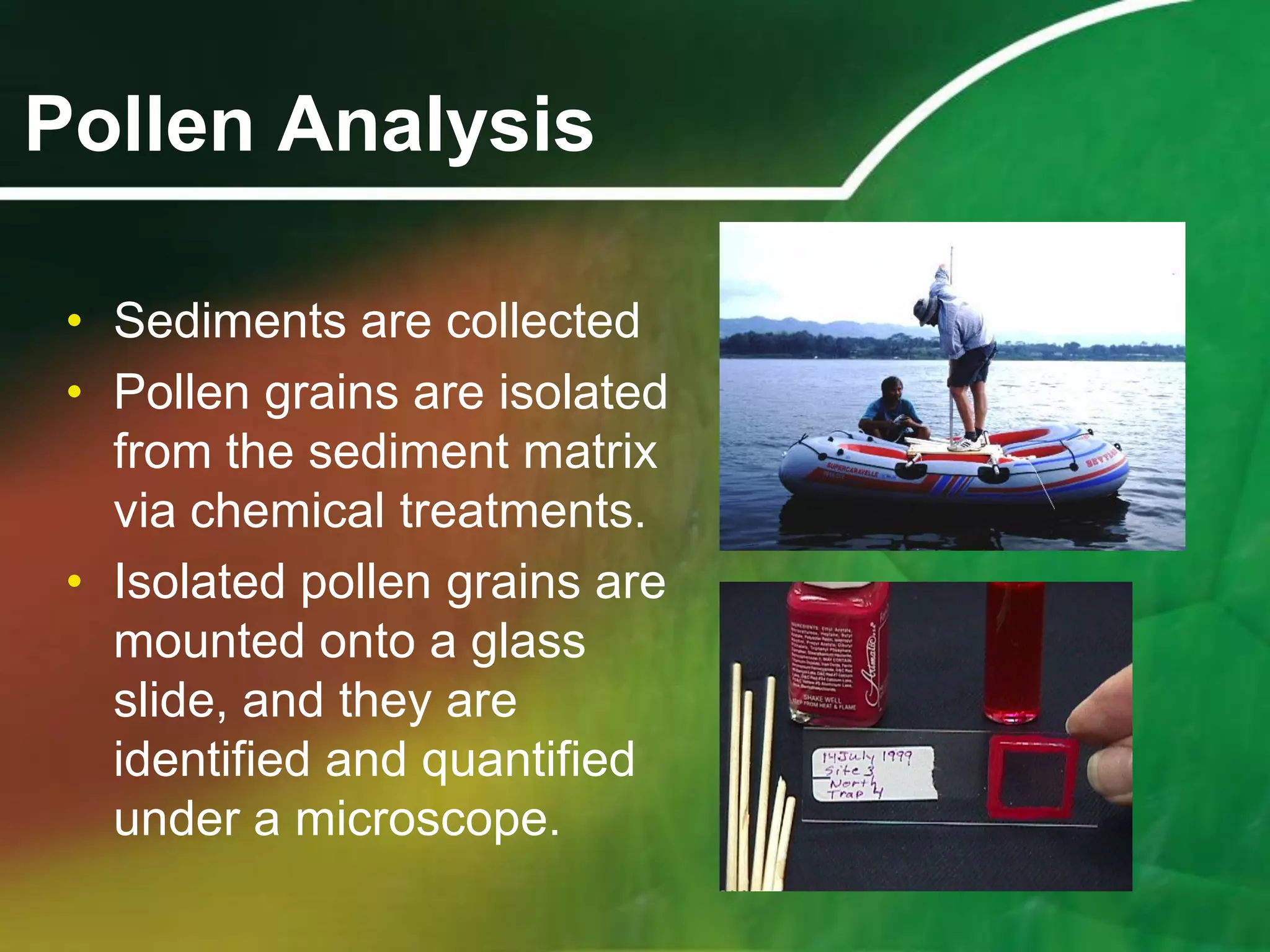 Palynology pollen morphology and biology | PDF | Gardening | Home & Garden