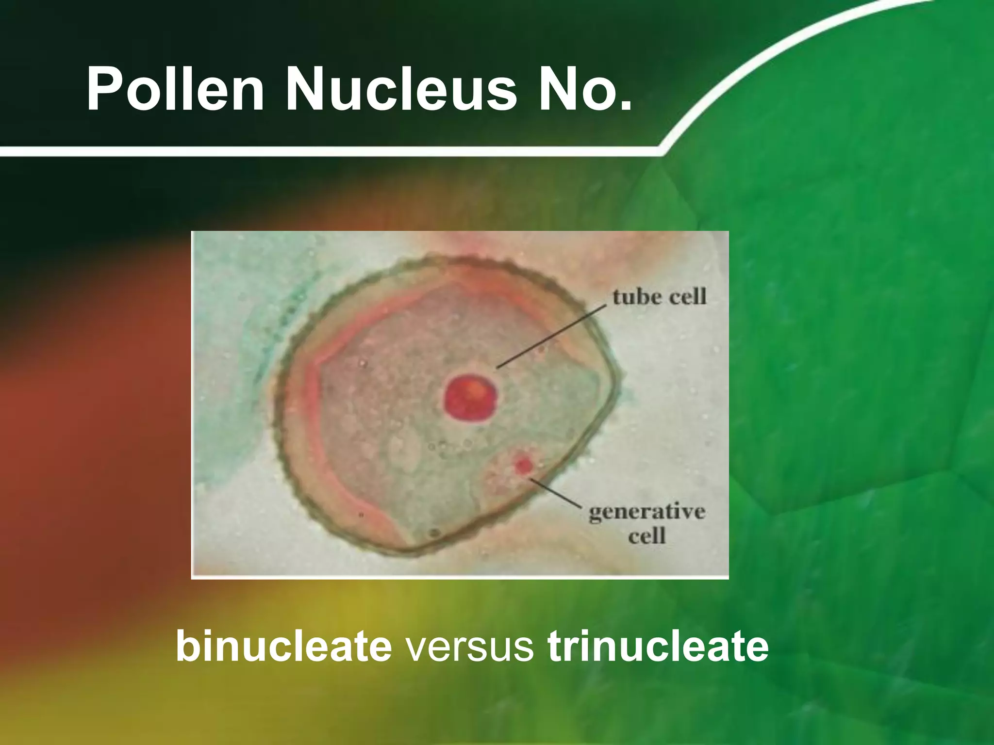 Palynology pollen morphology and biology | PDF | Gardening | Home & Garden