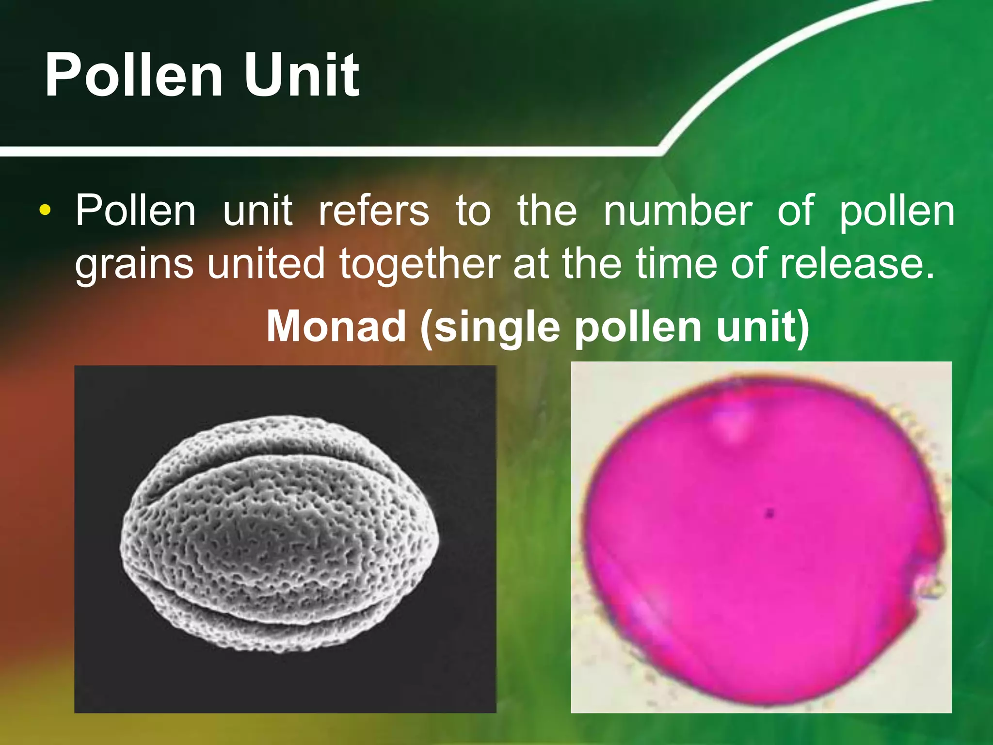 Palynology pollen morphology and biology | PDF | Gardening | Home & Garden