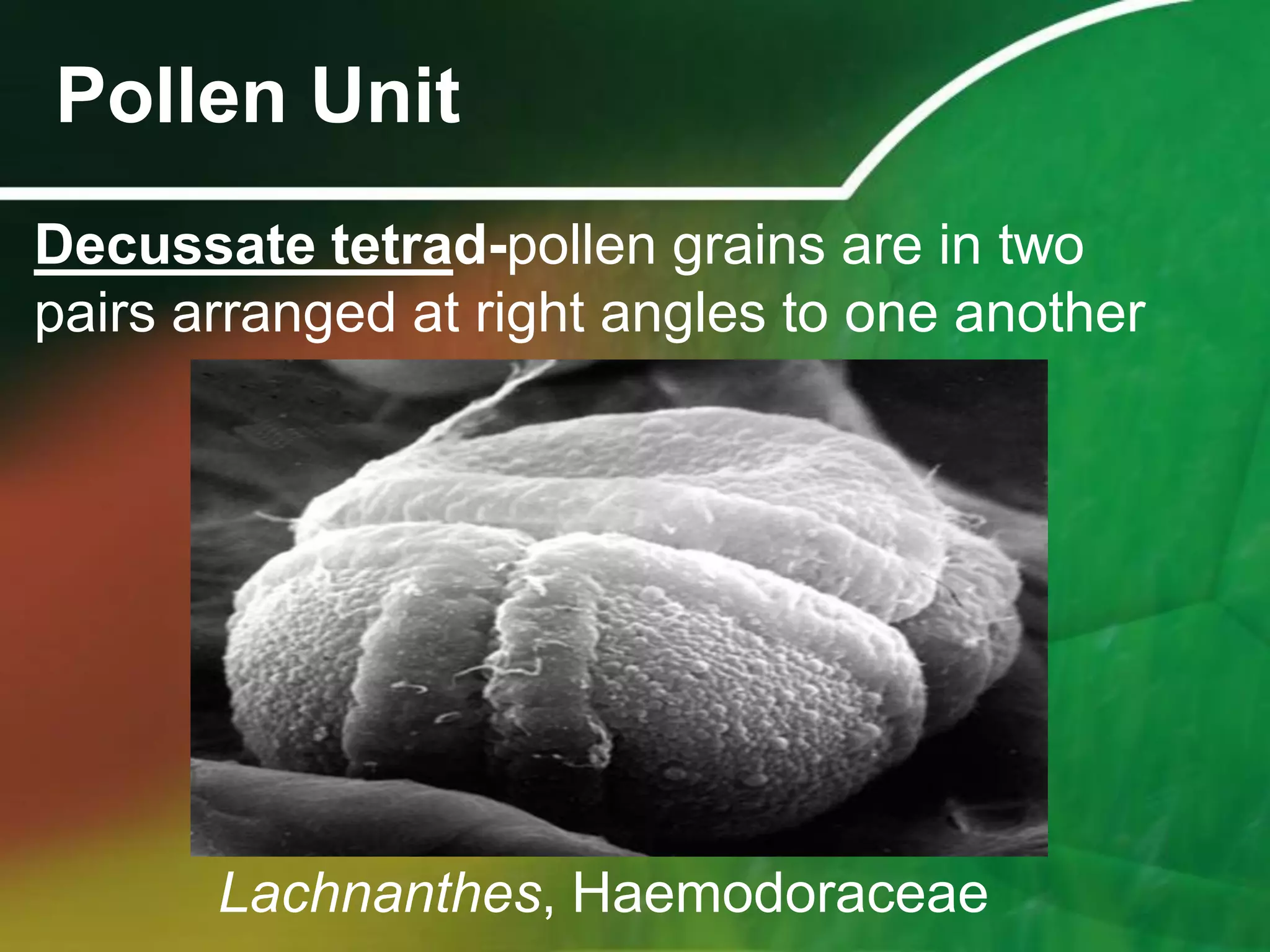 Palynology pollen morphology and biology | PDF | Gardening | Home & Garden