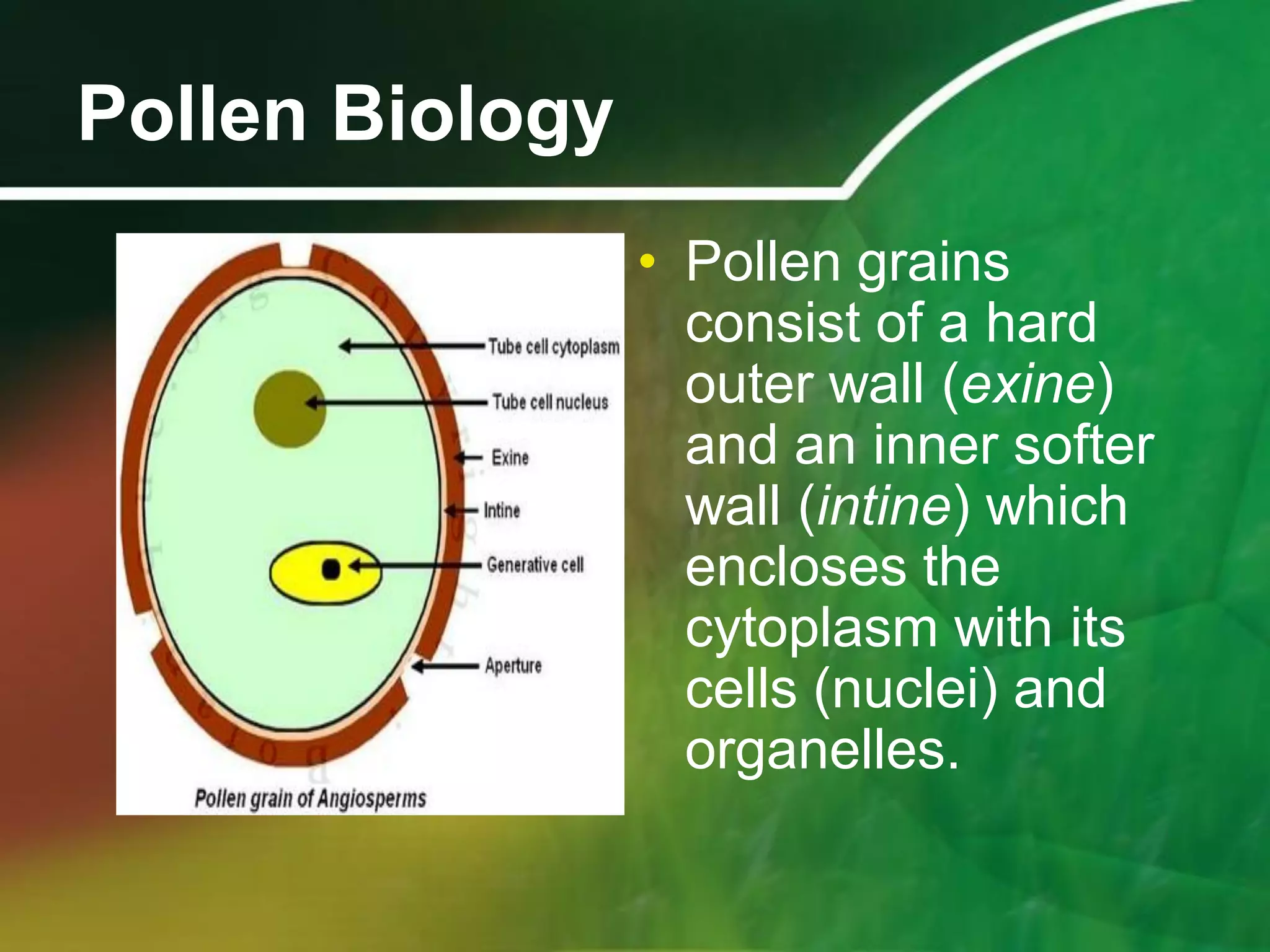 Palynology pollen morphology and biology | PDF