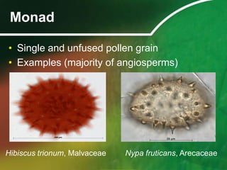 Palynology pollen morphology and biology | PDF