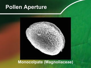 Palynology pollen morphology and biology | PDF