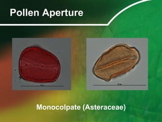 Palynology pollen morphology and biology | PDF