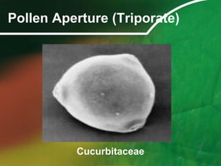 Palynology pollen morphology and biology | PDF