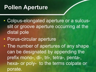 Palynology pollen morphology and biology | PPT