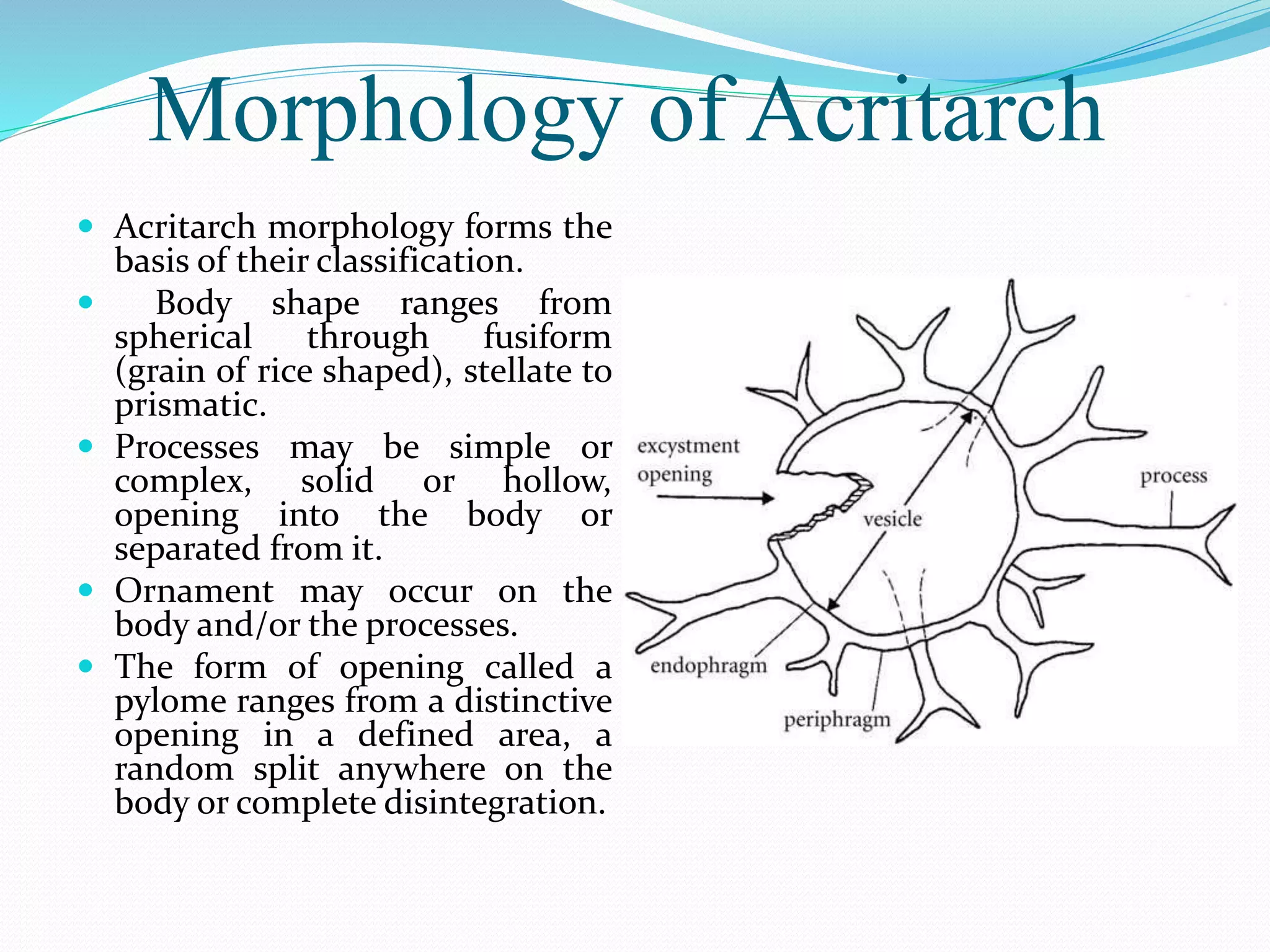 Palynomorphs-Applications in Geology.pptx