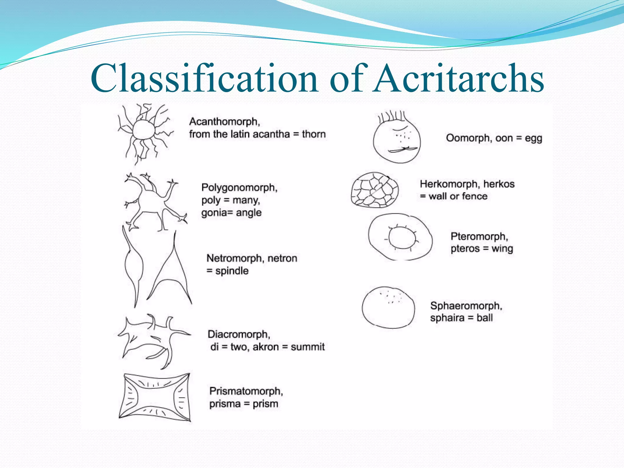 Palynomorphs-Applications in Geology.pptx