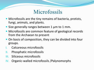 Palynomorphs-Applications in Geology.pptx