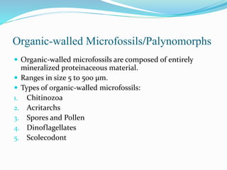 Palynomorphs-Applications in Geology.pptx