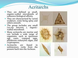 Palynomorphs-Applications in Geology.pptx