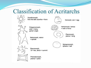 Palynomorphs-Applications in Geology.pptx