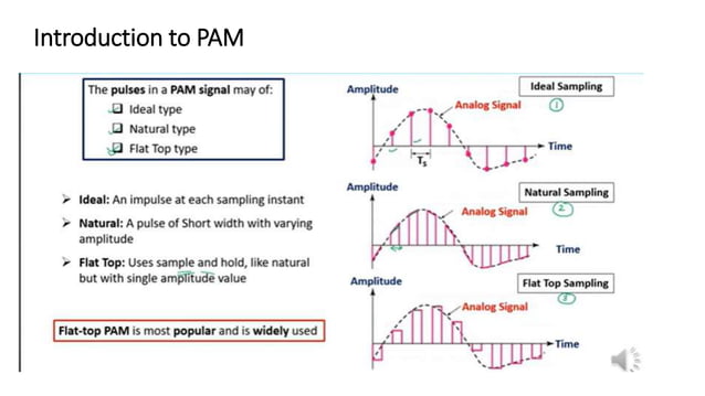 PAM presentation form of PAM presentation.pptx