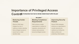 Privilege Access Management Solution.pptx