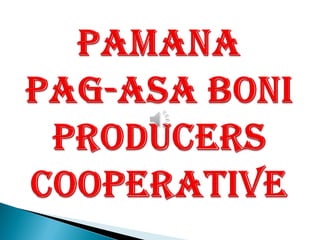 Pamana pag asa boni producers cooperative | PDF | Business | Business and Finance