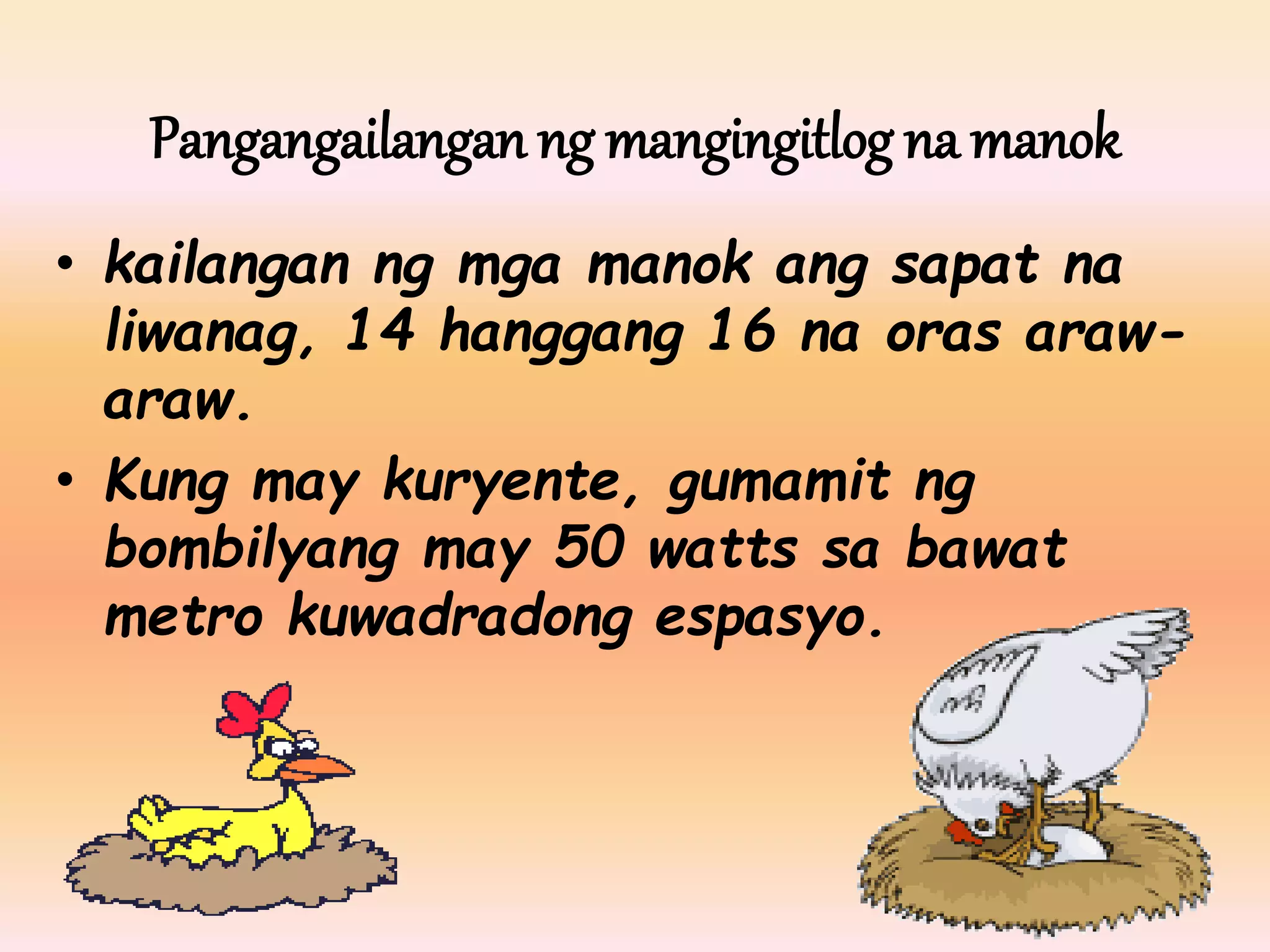 Pamaraan sa pag aalaga ng manok | PPTX