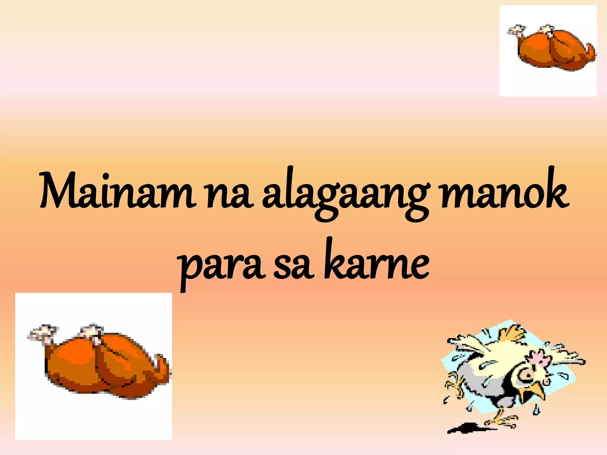 Pamaraan sa pag aalaga ng manok | PPTX