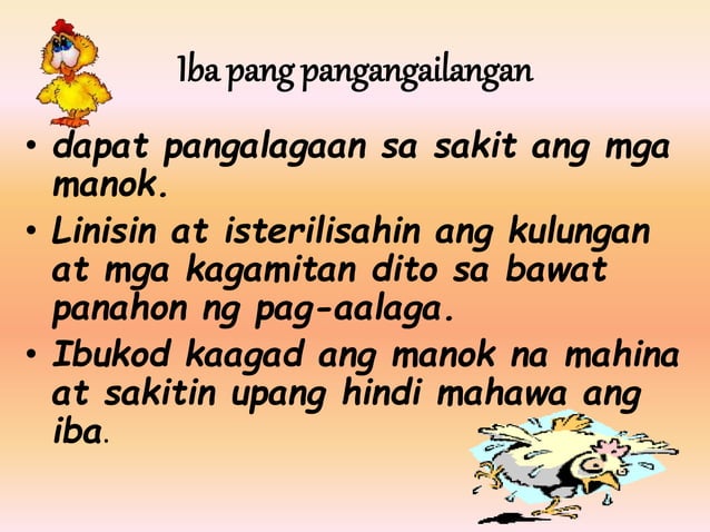 Pamaraan sa pag aalaga ng manok | PPTX