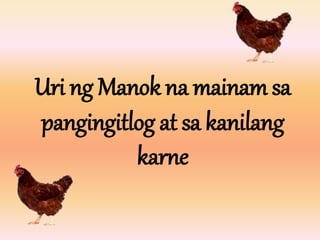 Pamaraan sa pag aalaga ng manok | PPTX