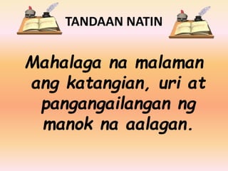 Pamaraan sa pag aalaga ng manok | PPTX