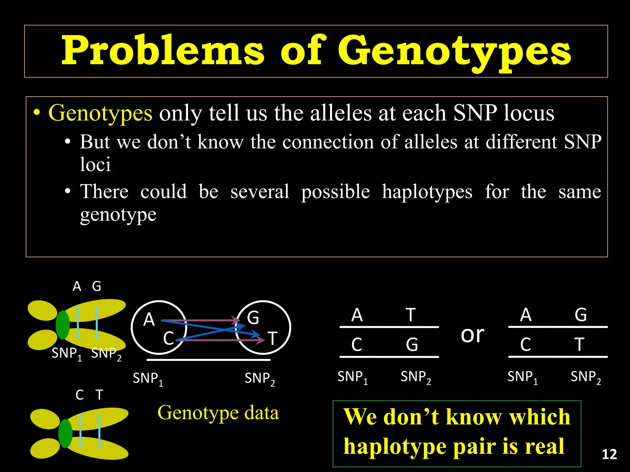 Haplotype mapping and its application in Plant Breeding | PPTX