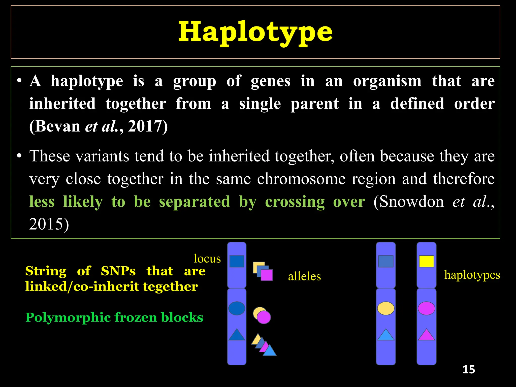 Haplotype mapping and its application in Plant Breeding | PPTX