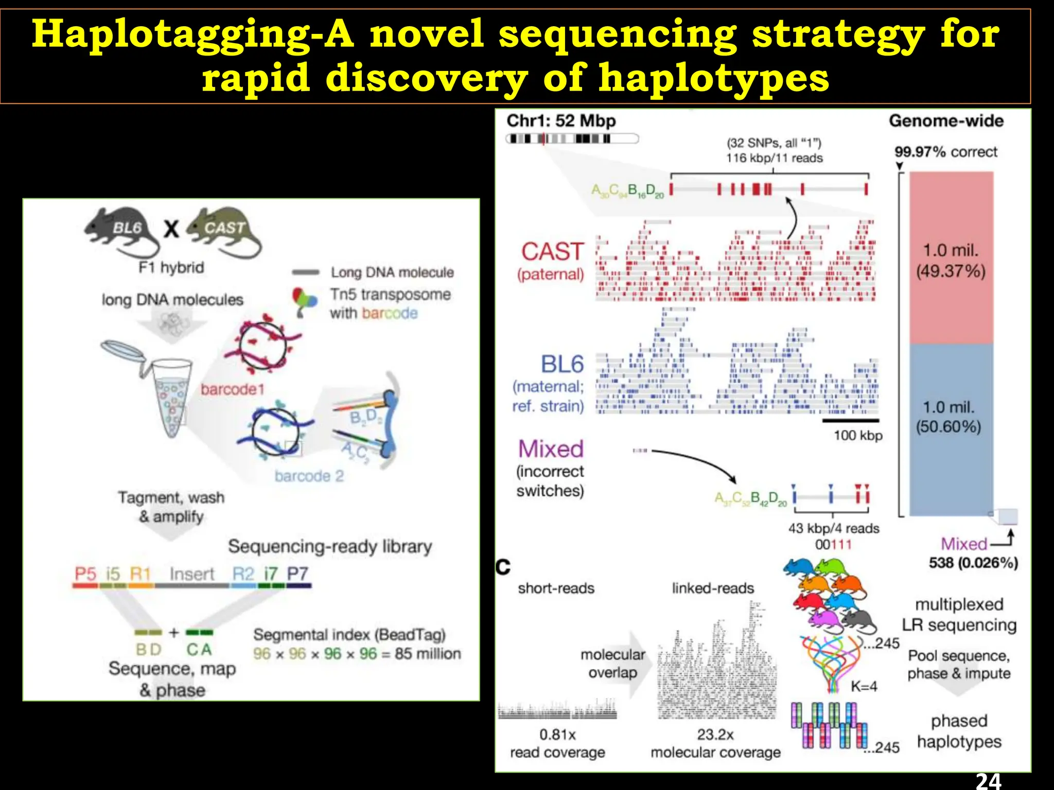 Haplotype mapping and its application in Plant Breeding | PPTX