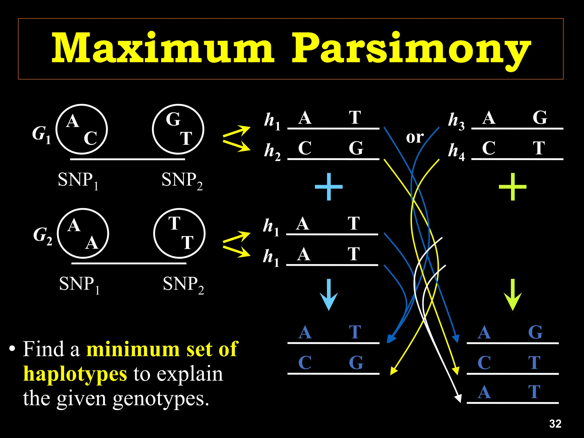 Haplotype mapping and its application in Plant Breeding | PPTX