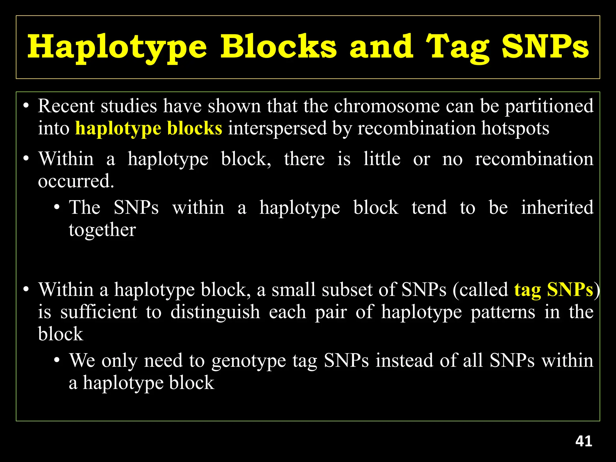 Haplotype mapping and its application in Plant Breeding | PPTX