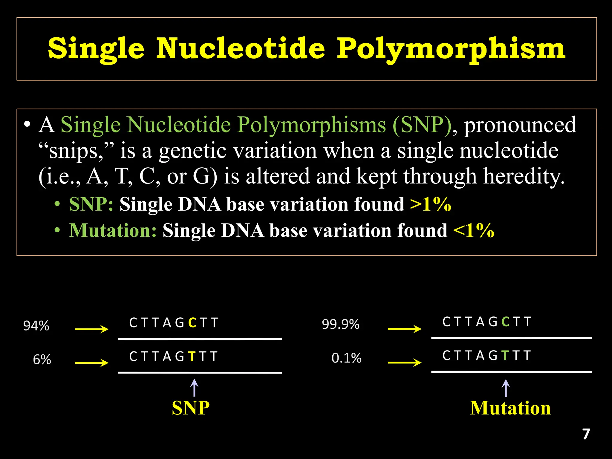 Haplotype mapping and its application in Plant Breeding | PPTX