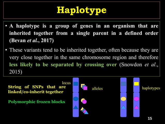 Haplotype mapping and its application in Plant Breeding | PPTX ...