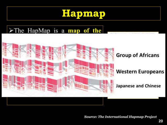 Haplotype mapping and its application in Plant Breeding | PPTX ...