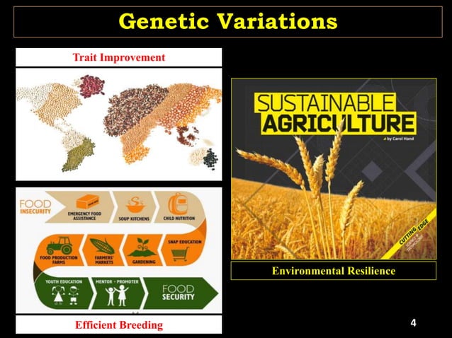 Haplotype mapping and its application in Plant Breeding | PPTX ...