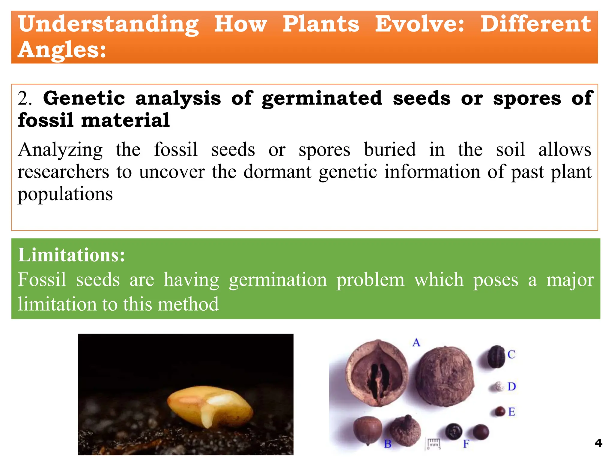 Paleogenomics: Connecting the dots of crop evolution | PPTX