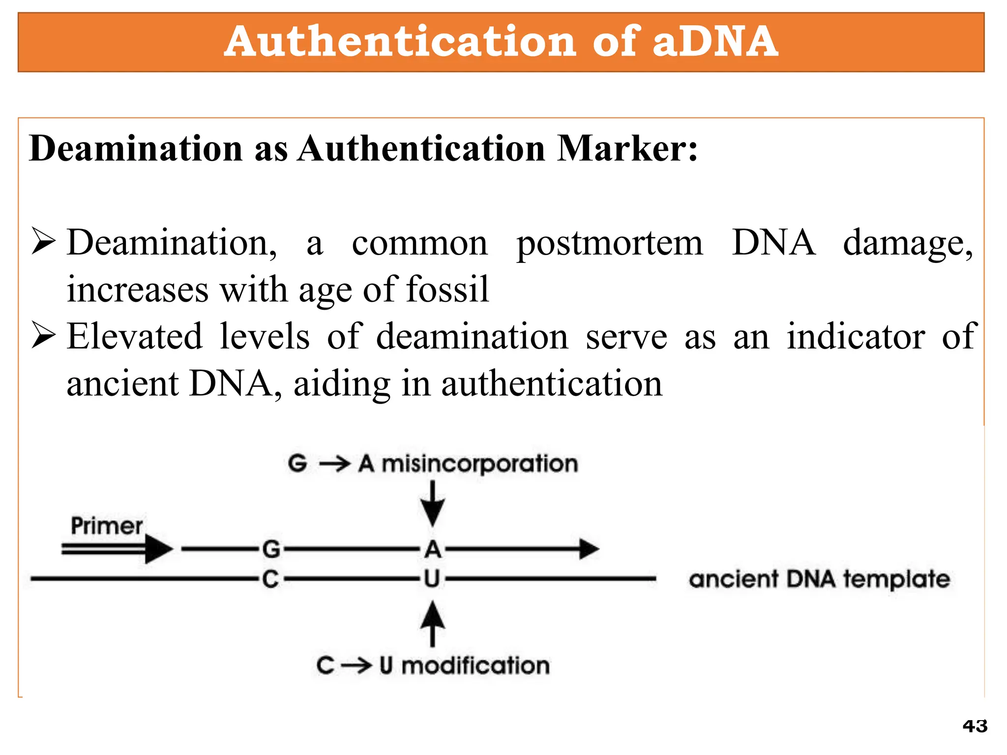 Paleogenomics: Connecting the dots of crop evolution | PPTX