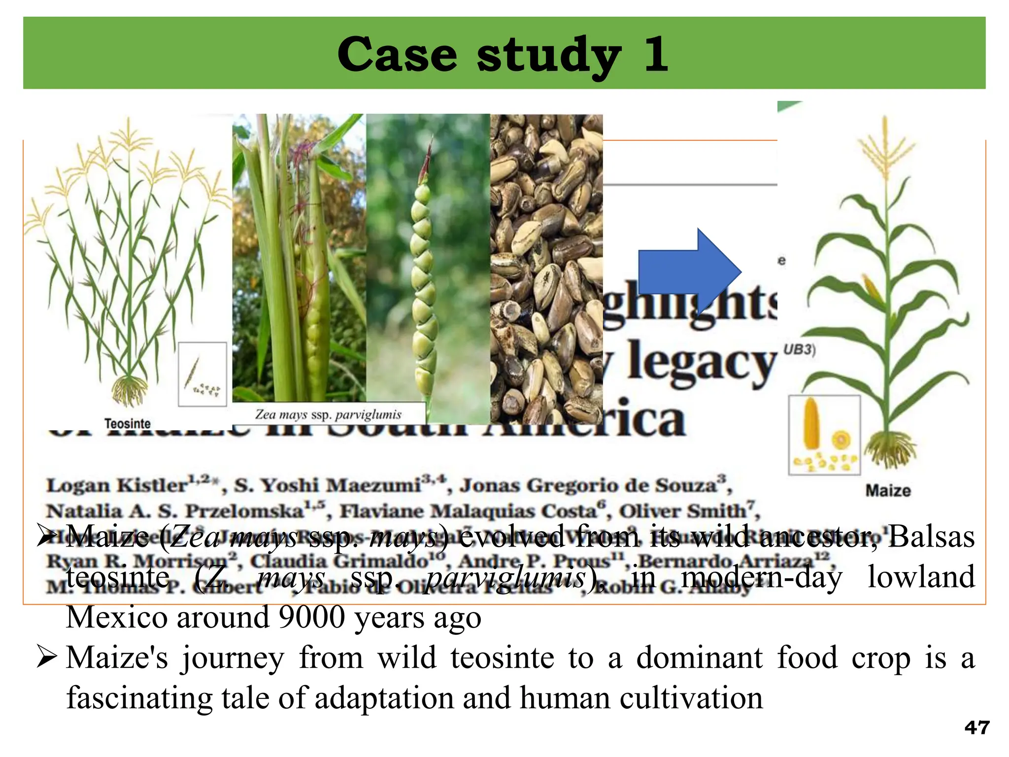 Paleogenomics: Connecting the dots of crop evolution | PPTX