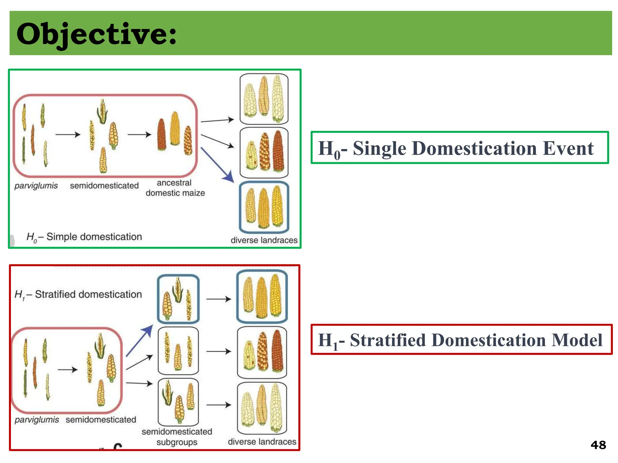 Paleogenomics: Connecting the dots of crop evolution | PPTX
