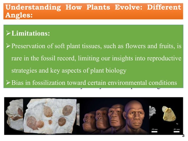 Paleogenomics: Connecting the dots of crop evolution | PPTX